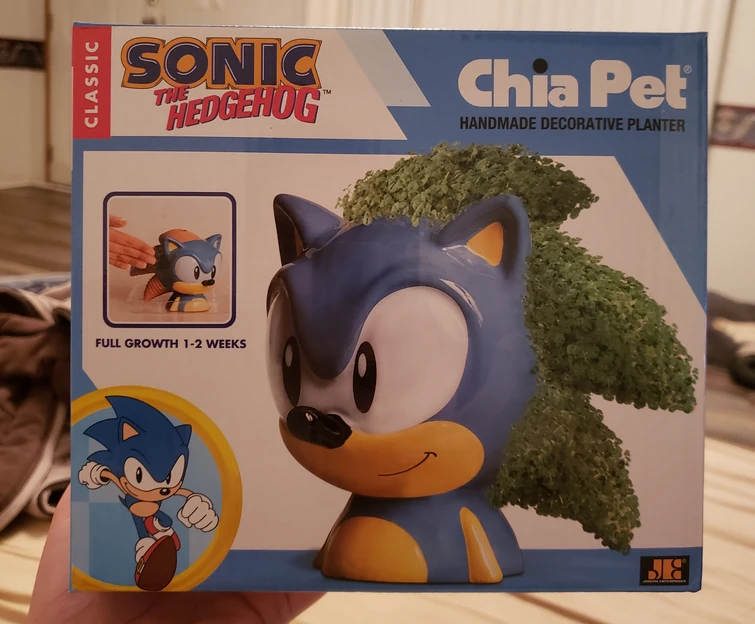 Got a Sonic Chia Pet for Christmas Eve | Fandom