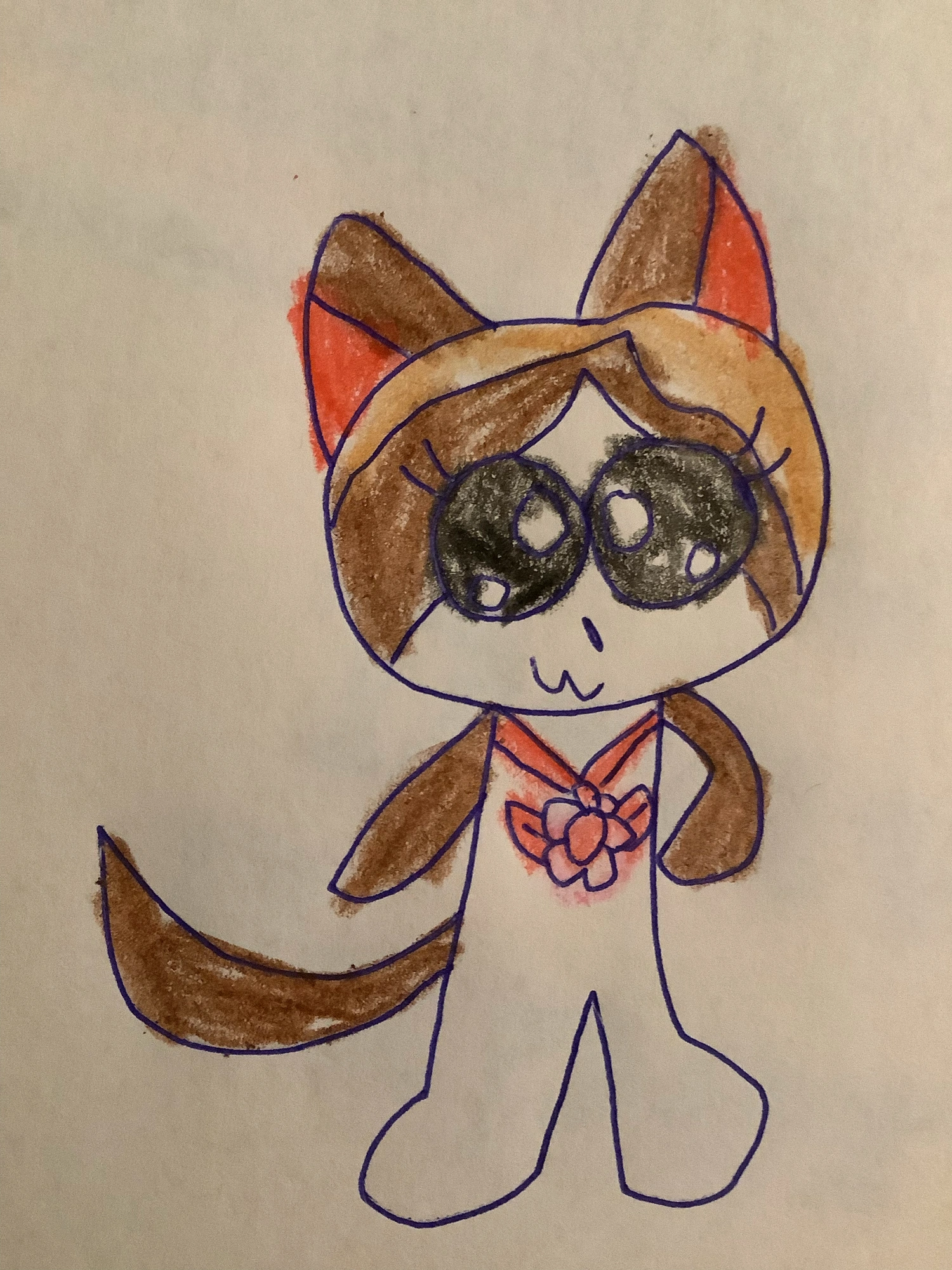 Lillian ragdoll cat (new OC) | Fandom
