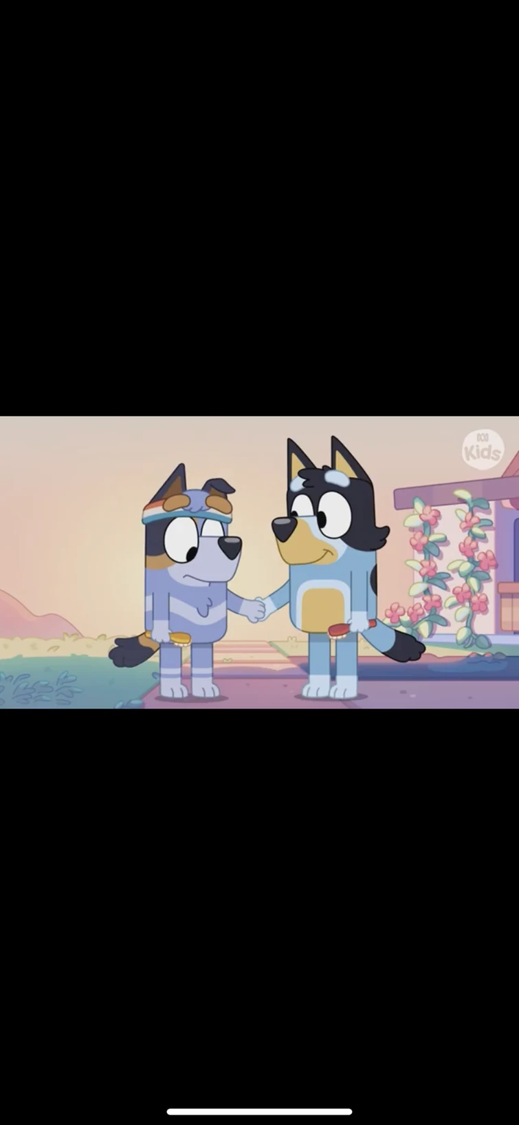 Discuss Everything About Bluey Wiki | Fandom