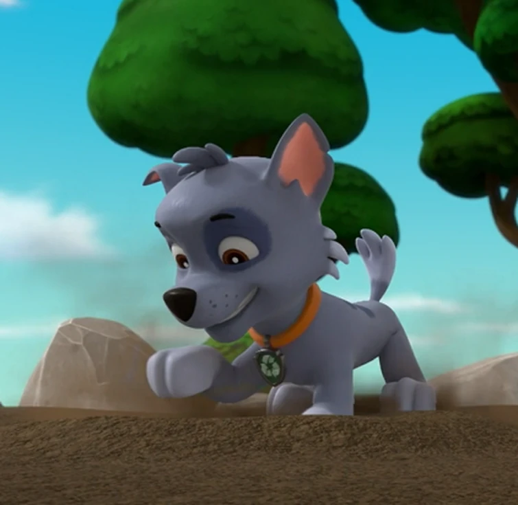 What's Rocky digging through the rubble? | Fandom