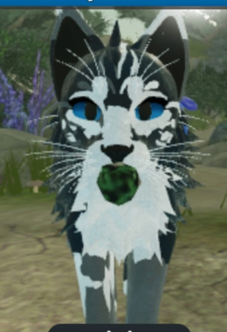Discuss Everything About Warrior Cats: Ultimate Edition (WCUE) Wiki ...