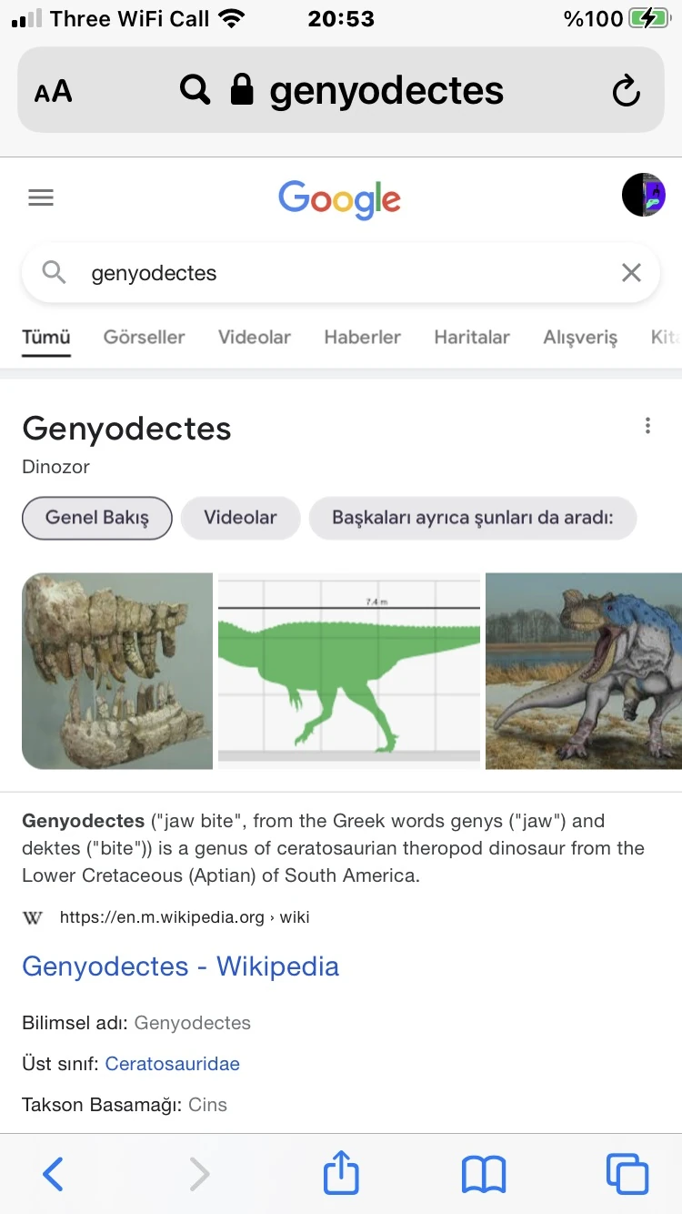 Underrated dinosaurs Part 2-genyodectes | Fandom