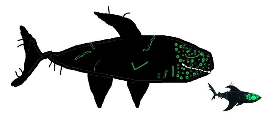 fishy fishy | Fandom