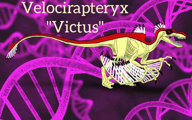 Chaos Effect Ocs | Fandom