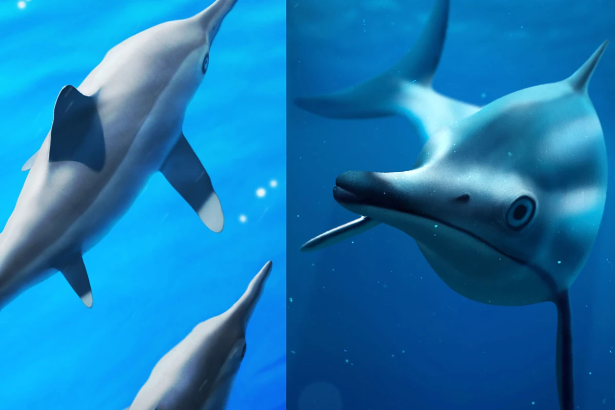 What are y’all’s favourite species of Icthyosaurus? and ichthyosaurus ...