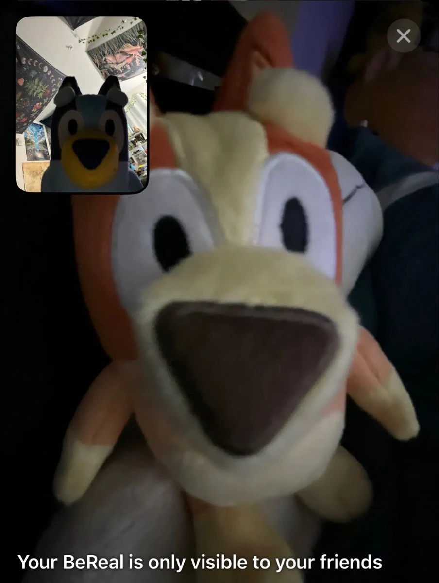 Buying theme bee | Fandom