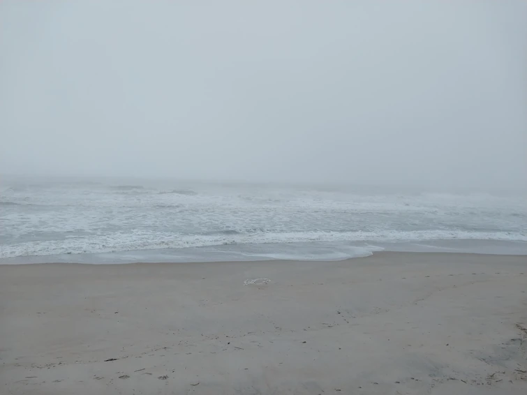 Ocean | Fandom