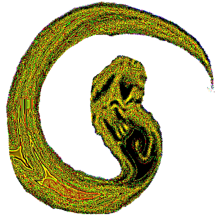 Discuss Everything About Roblox Interminable Rooms Wiki | Fandom