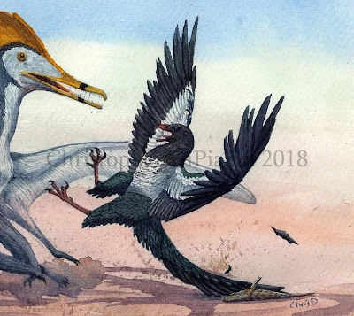 Chirp Chirp MotherFukuiraptor | Fandom