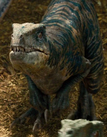 Favourite Velociraptor? | Fandom