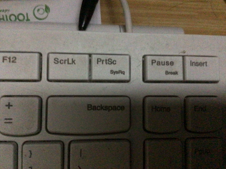 off topic lmao | Fandom