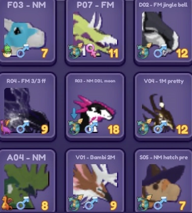 Discuss Everything About Dragon Adventures Wiki | Fandom