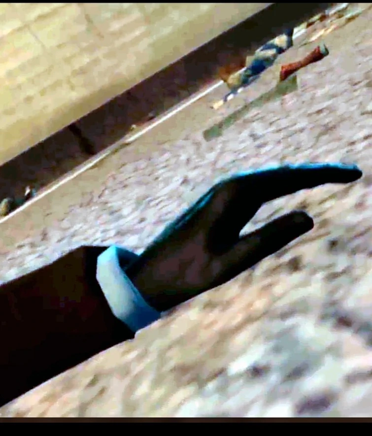 Picture of the Pov cameraman's arm from episode 49... | Fandom