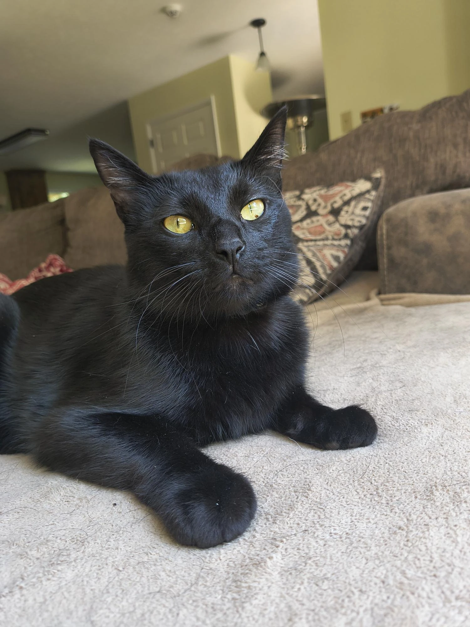 So uhm..Hey guys | Fandom