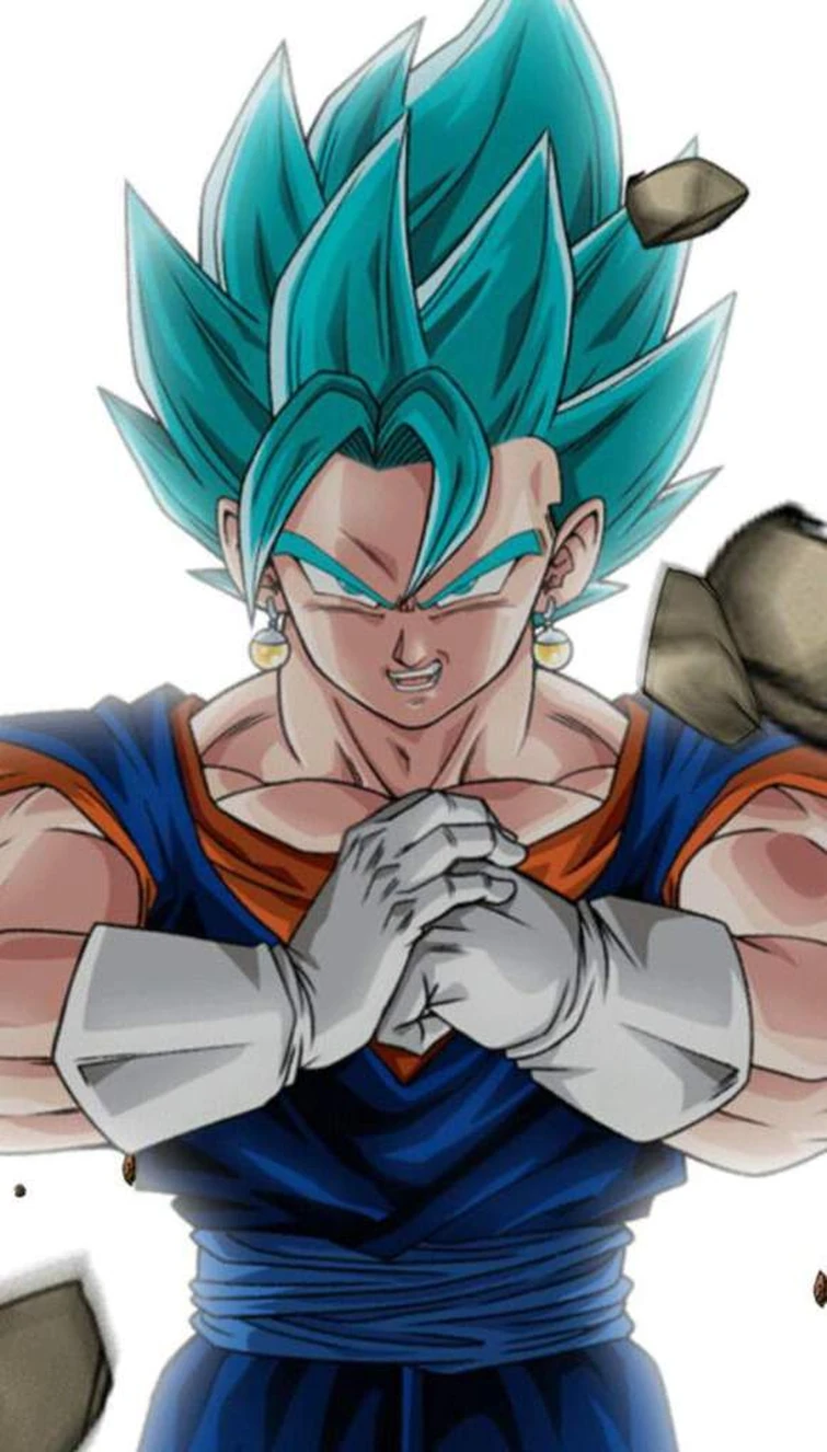 VEGITO BLUE ANIMATION | Fandom