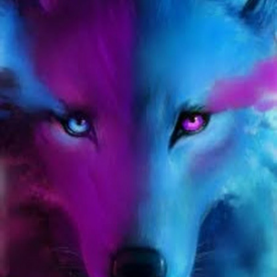 Wolves and elves are a more beautiful combination than you'd expect ...