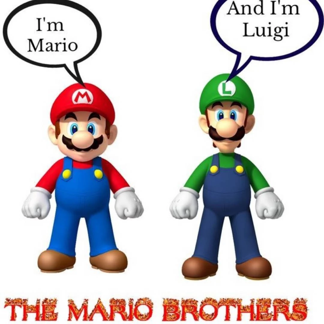 THE MARIO BROTHERS🗣🗣🗣🗣🗣🔥🔥🔥🔥🔥 | Fandom