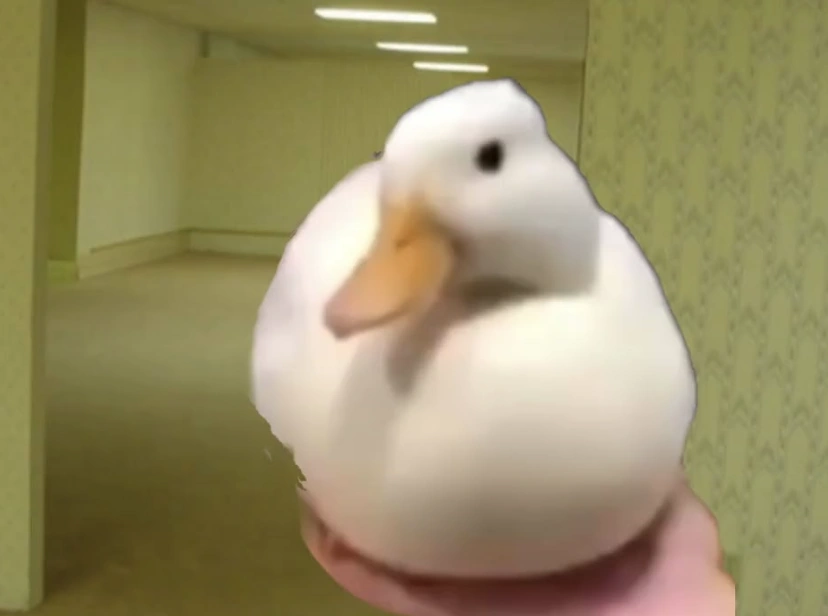 Duck image #19 but I had to make it comply with the rules so it relates ...