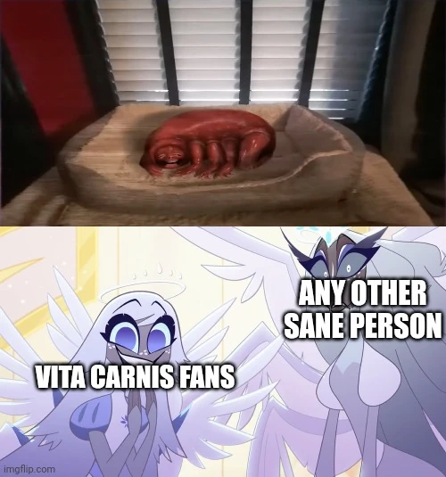 As a Vita Carnis Fan myself, I approve of this meme | Fandom