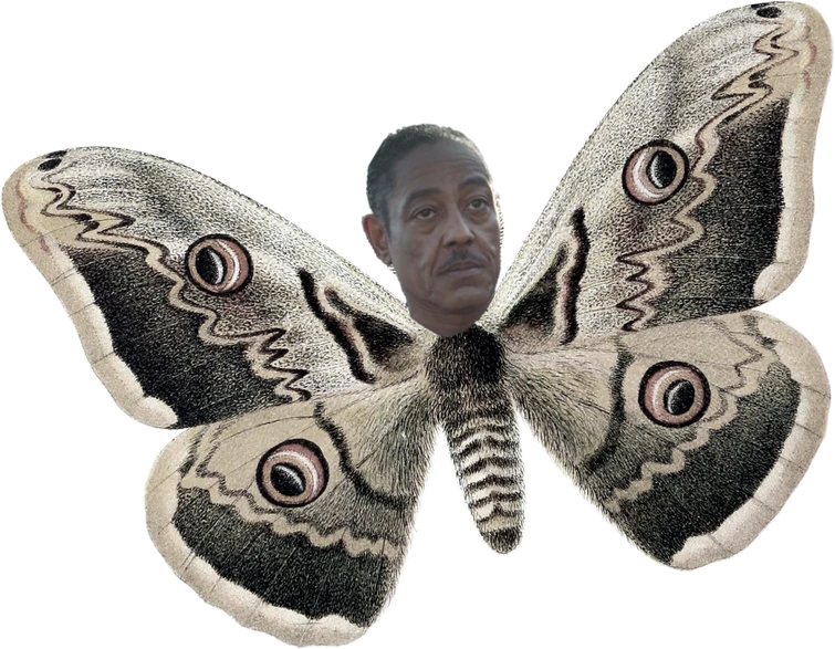 Moth Gideon (r/StarWars) | Fandom