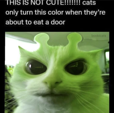 pick an alien cat!!! :3 | Fandom