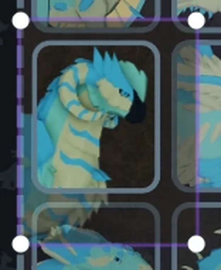 Free Collection Template | Fandom