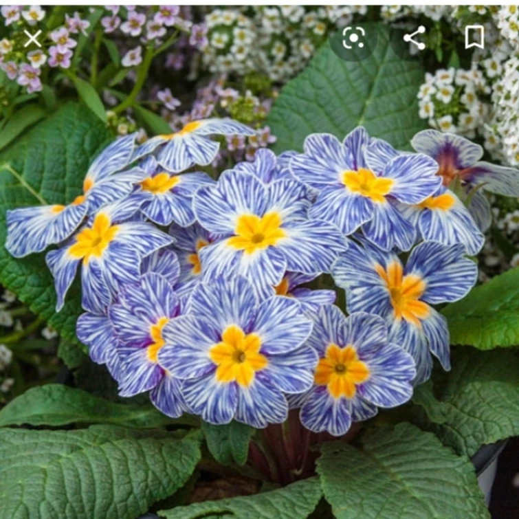 Discuss Everything About The Hunger Games Wiki | Fandom