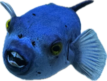 Munch is always right or is ugly fish better, who will win? | Fandom