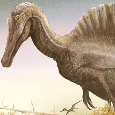 Discuss Everything About Dinopedia | Fandom