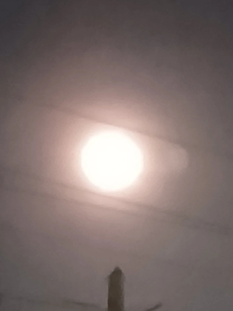 Ms. Moon irl: | Fandom