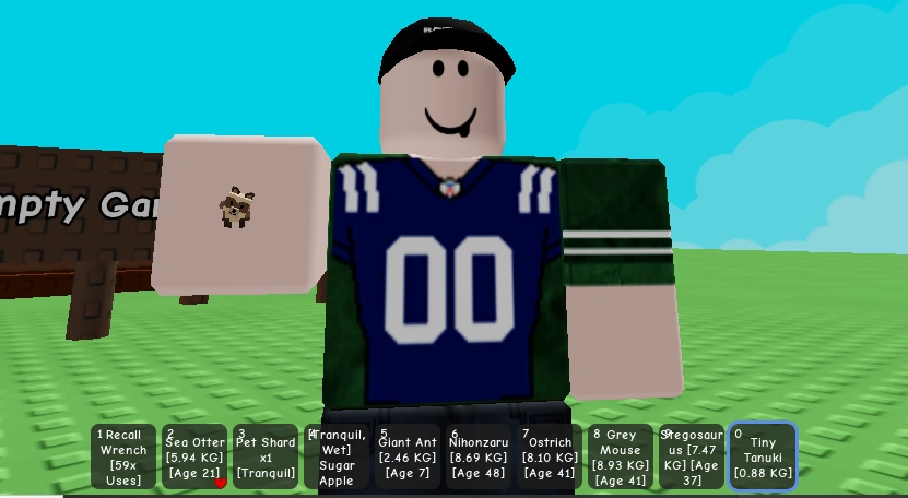 Tiny Tanuki | Fandom