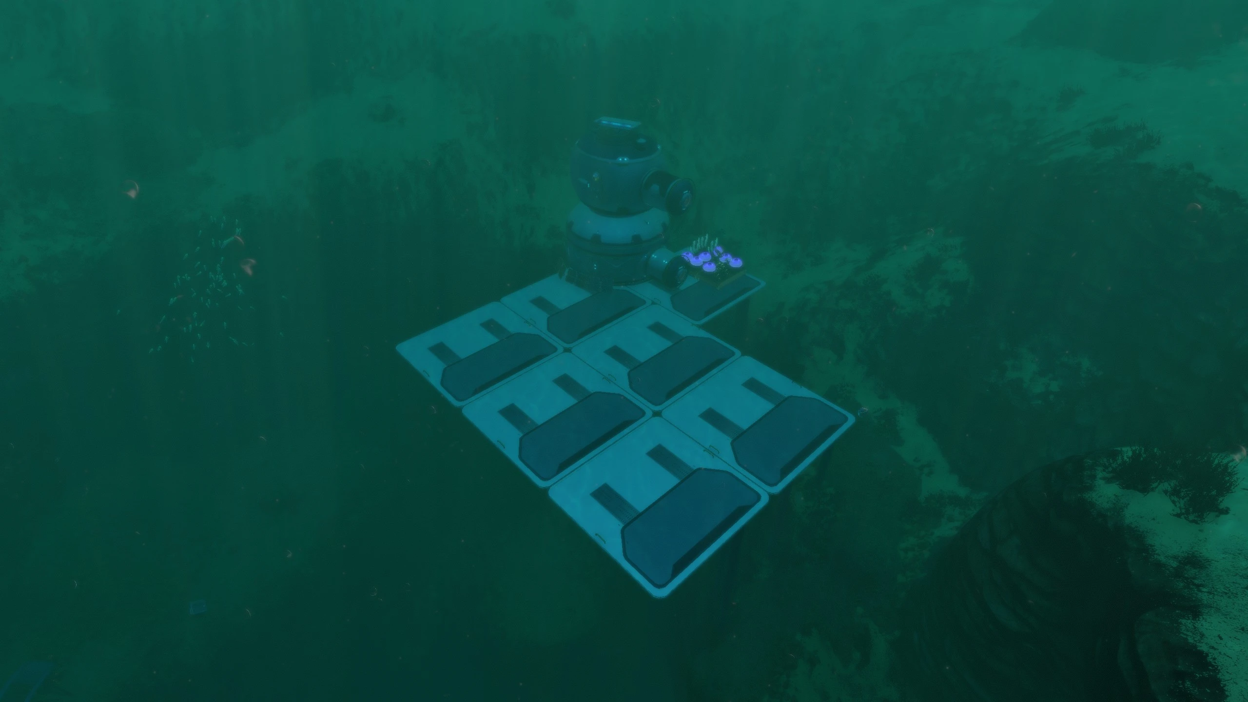 Grand Reef | Fandom