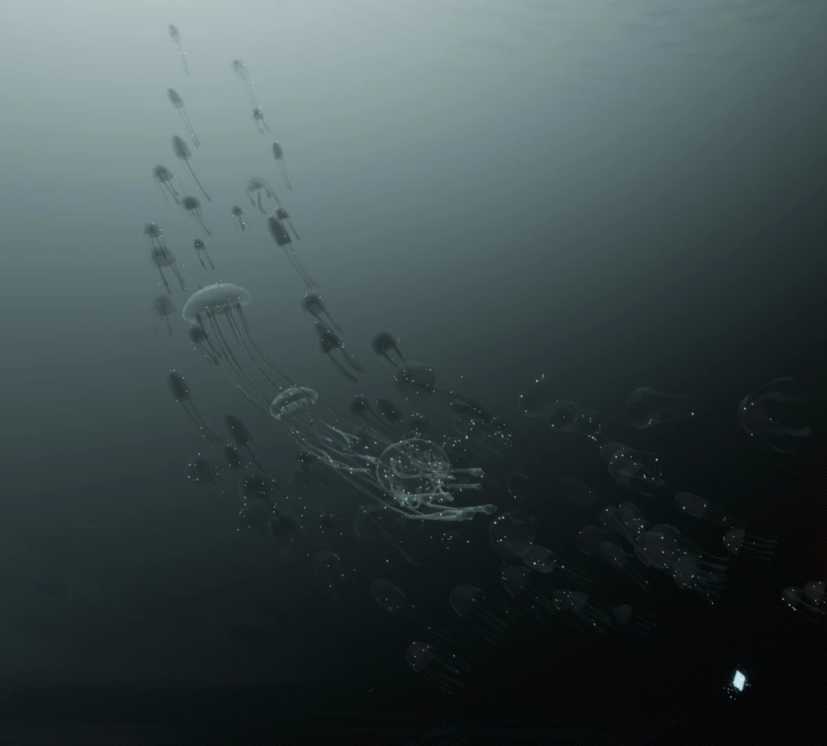 Void Jellyfish | Fandom
