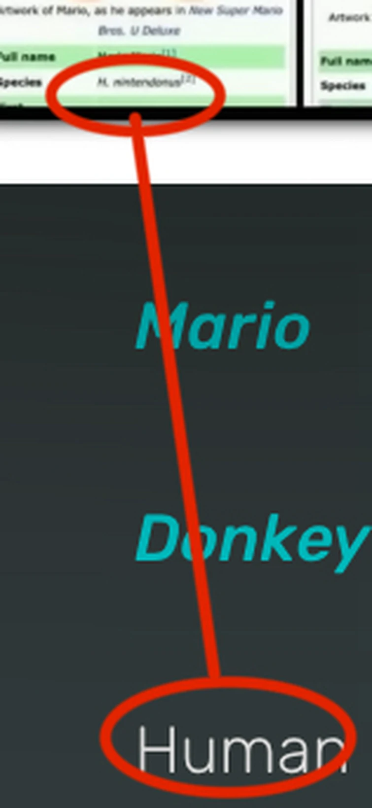 Discuss Everything About Nintendo | Fandom