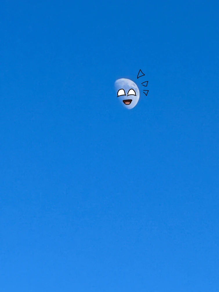 Moon🤪 | Fandom