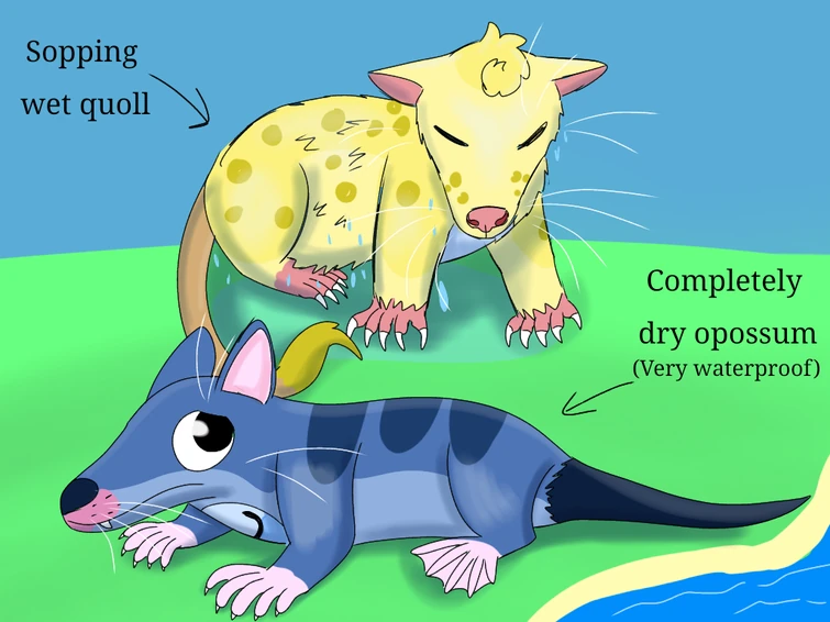 Y and W went for a swim. | Fandom