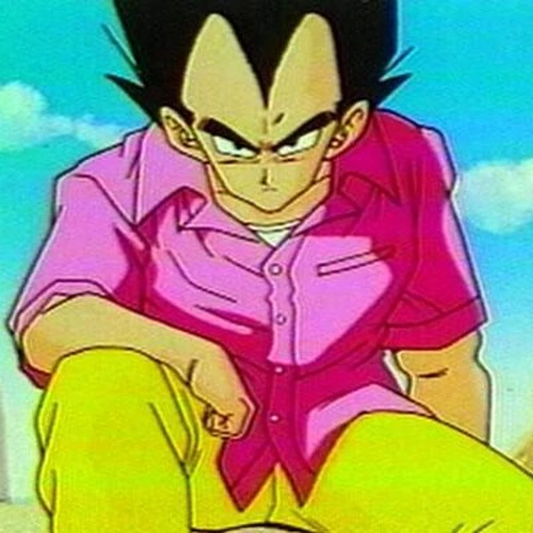 Best Outfit: Vegeta | Fandom