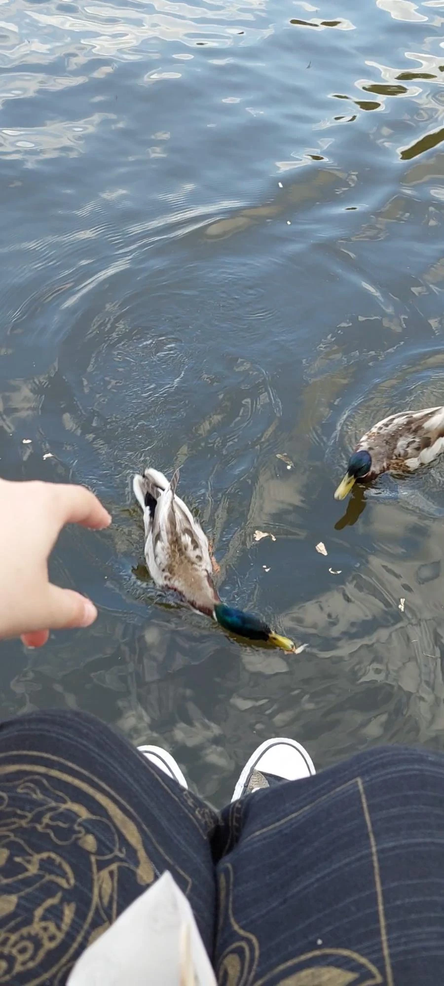 Guys, would Lucifer be proud of me? | Fandom