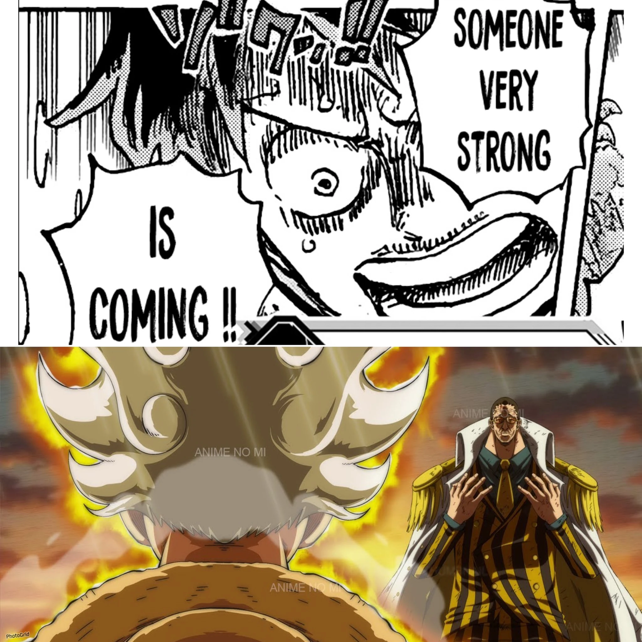 Officially confirmed by Oda | Fandom