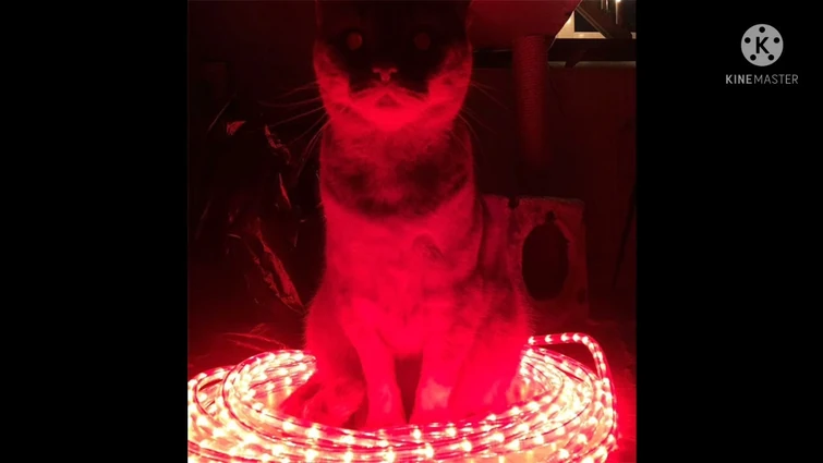 guys do i reduce skeleton hygos population | Fandom
