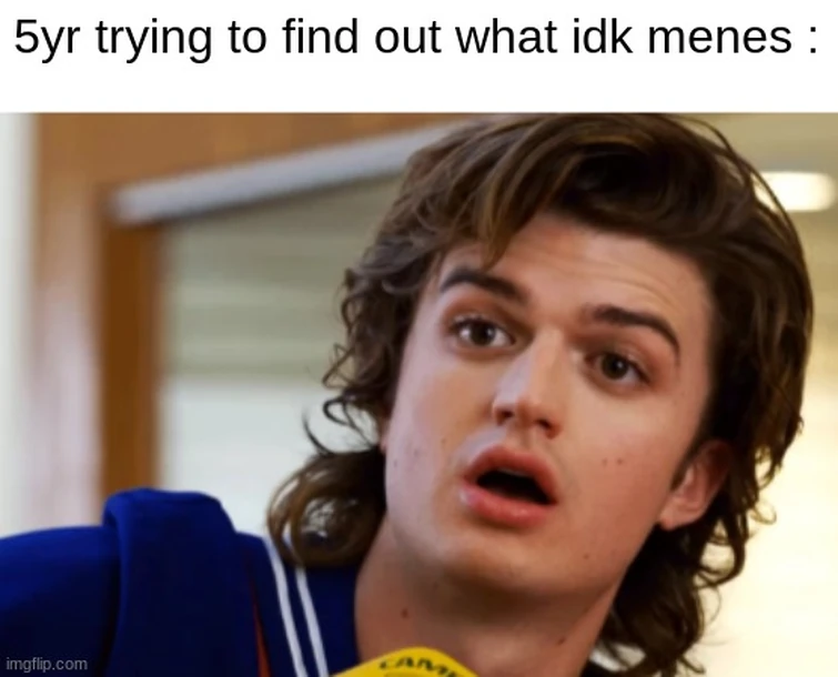 Stranger Things Memes 10 | Fandom