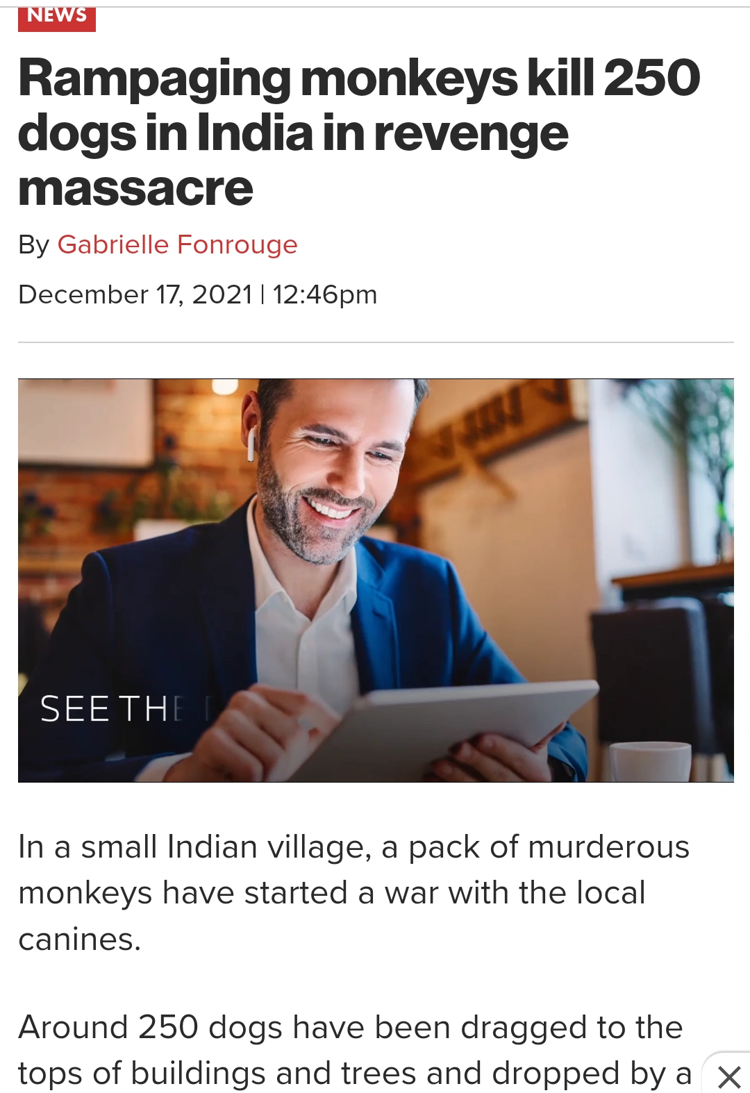 Monkey are now canoncaly JoJo character. The monkeys are dio minion ...