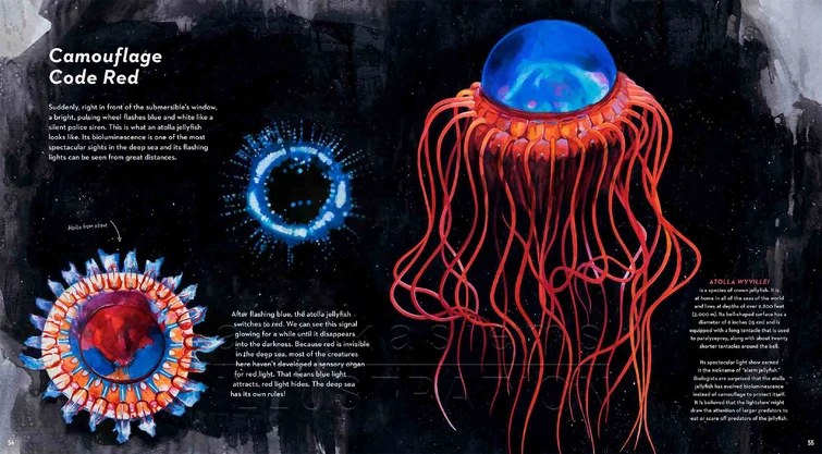 Atolla Jellyfish Zhel! (Click for better quality) | Fandom