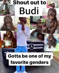 Day 11 of Budi Memes Everyday Until I Reach 5000 Posts | Fandom