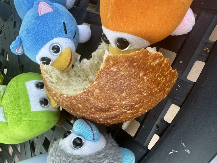 Oh god they’re plotting | Fandom