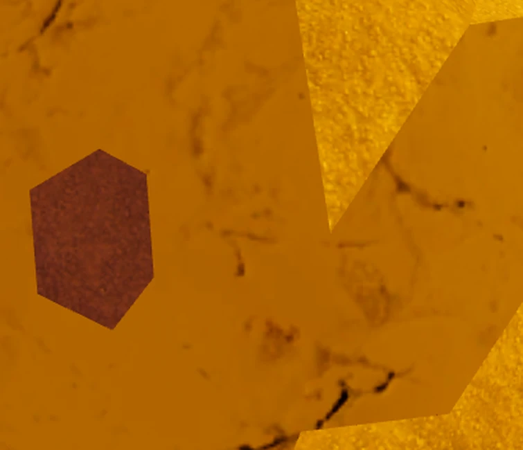 Some spoilers Triefelgrim/Wolfragon just posted in Developer Feed. | Fandom