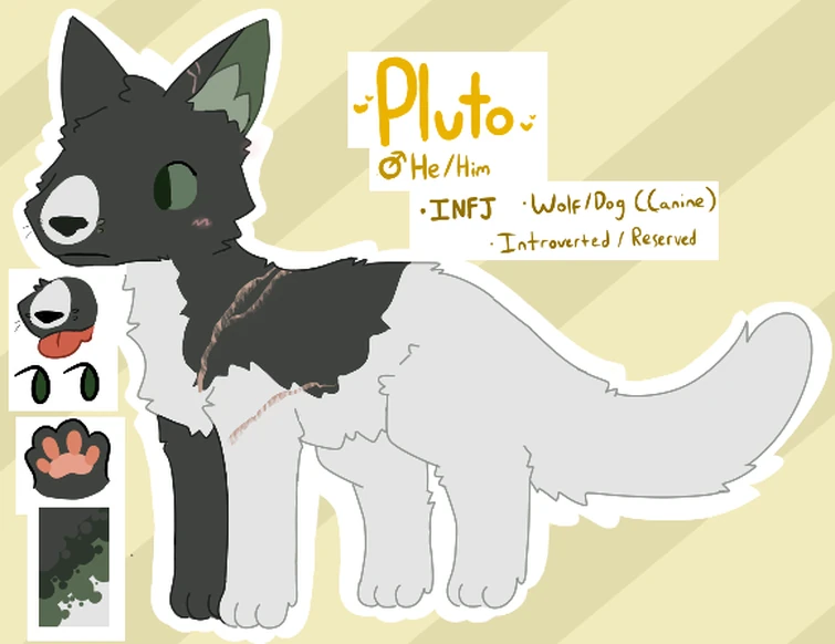 comparing old oc ref sheets to their new ones | Fandom