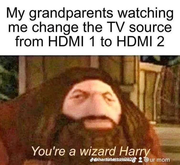yer a wizard Harry | Fandom
