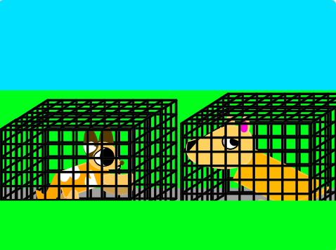 Some image ig | Fandom