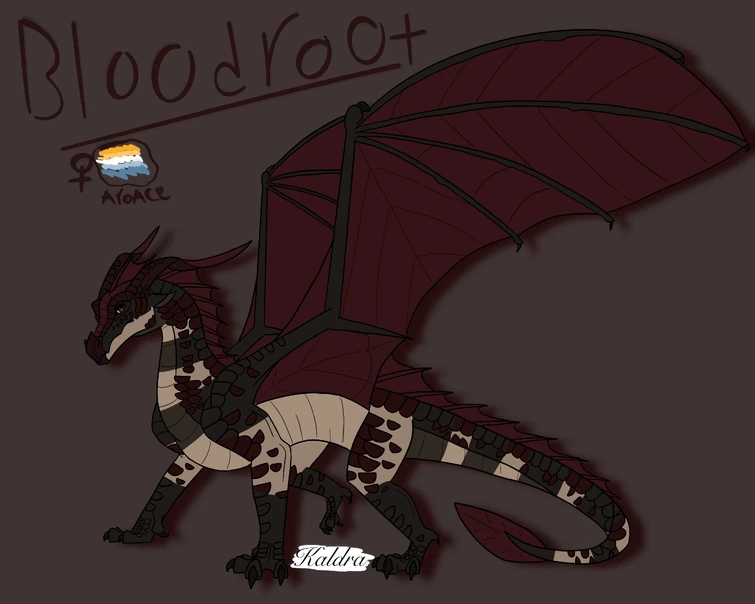 Discuss Everything About Wings of Fire Wiki | Fandom